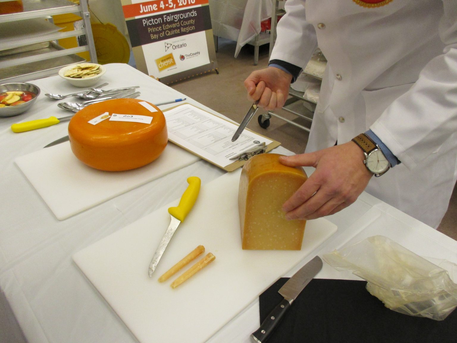 Milk and Cheese Analysis – Cheese Making Technology e-Book