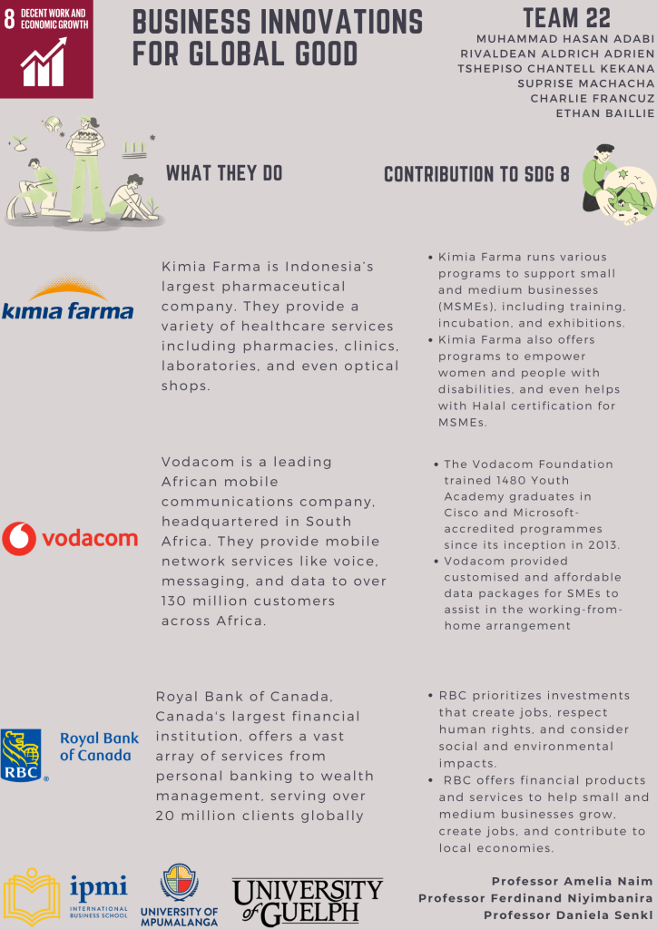 SDG 8 – Decent Work and Economic Growth – Team 22 – Student Reflections on Innovations and the ...